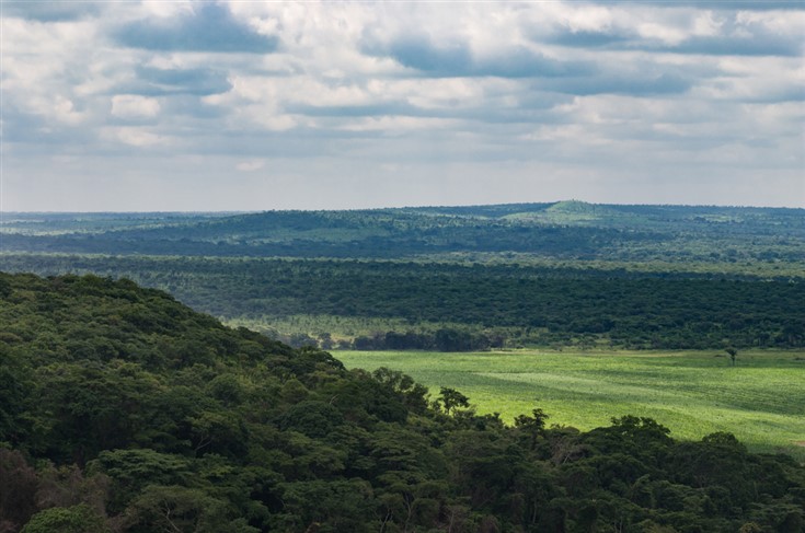 A gestão sustentável do património comercial e florestal de Angola